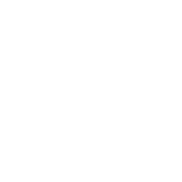 Lionsgate Studios (LION) - P/E ratio