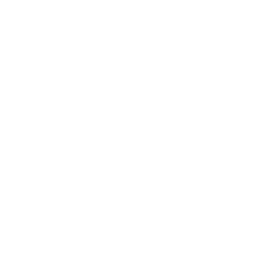 Lithium Royalty Corp. (LIRC.TO) - P/S ratio