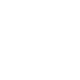 Loar Holdings - Annual Reports (10-K)