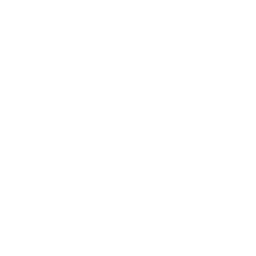 Loop Media (LPTV) - P/S ratio