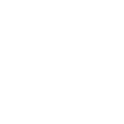 Lucid Diagnostics (LUCD) - P/E ratio