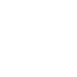 Lupin Limited (LUPIN.NS) - Market capitalization