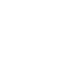 Lyft (LYFT) - Market capitalization