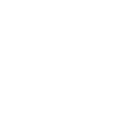 Mobico Group (MCG.L) - Rendement du dividende