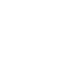 Mikron Holding (MIKN.SW) - Dividends