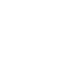 Zoom Telephonics (MINM) - Total assets