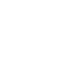 Mentice AB (MNTC.ST) - P/E ratio