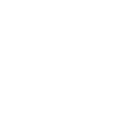 Momentus Inc. (MNTS) - Market capitalization