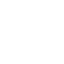 Montea Comm (MONT.BR) - Market capitalization