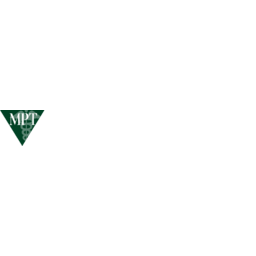 Medical Properties Trust (MPW) - Dividends