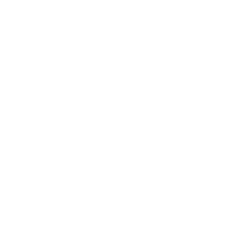 Manitou Group (MTU.PA) - Revenue