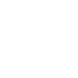 Munich RE (Münchener Rück) (MUV2.DE) - Stock price history