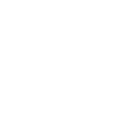 NACL Industries (NACLIND.NS) - P/B ratio