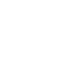 Nebius Group (Yandex) (NBIS) - P/S ratio