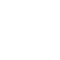 Norwegian Cruise Line (NCLH) - Market capitalization