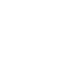 Neonode (NEON) - P/E ratio