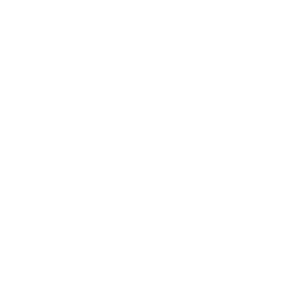Netel Holding (NETEL.ST) - Market capitalization