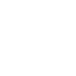 NervGen Pharma (NGEN.V) - Stock price history