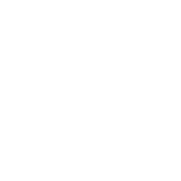 Nickel Industries Limited (NIC.AX) - Dividends