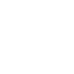 Nichols plc (NICL.L) - P/S ratio