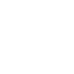 NIOX Group (NIOX.L) - P/E ratio