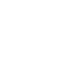 NIO (NIO) - P/E ratio