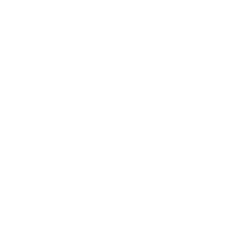 Nano Dimension (NNDM) - Stock price history