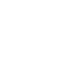 NoHo Partners - Bilans Financiers