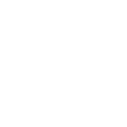 NeuroPace (NPCE) - Total assets