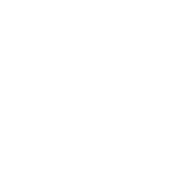 NETGEAR (NTGR) - Market capitalization