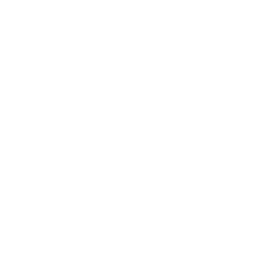 NVIDIA (NVDA) - EPS (earnings per share)