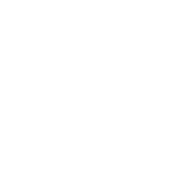 Novo Nordisk (NVO) - Revenue