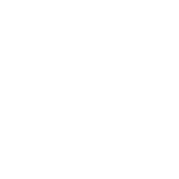 NextVision Stabilized Systems (NXSN.TA) - Market capitalization