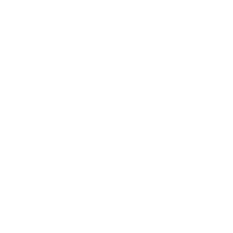 Nextel Communications (NXTL) - Stock price history