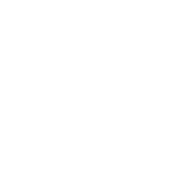 Nykaa (NYKAA.NS) - Stock price history