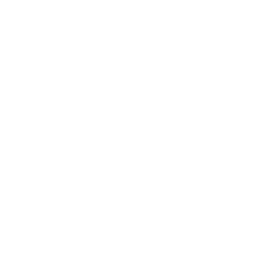 Odyssey Marine Exploration (OMEX) - P/E ratio