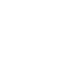 OpGen (OPGN) - P/E ratio