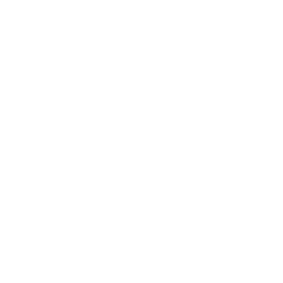 Origin Energy (ORG.AX) - Dividends