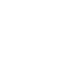 Origin Materials (ORGN) - Net Assets