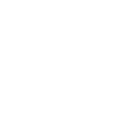 Orkla (ORK.OL) - Revenue