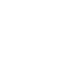 Ørsted - Annual Reports