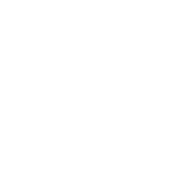 One Stop Systems (OSS) - P/S ratio