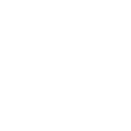 Porsche (P911.DE) - Revenue