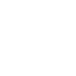 Pineapple Financial (PAPL) - Total assets