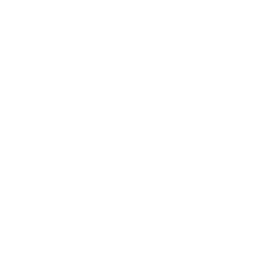 Groupe Partouche (PARP.PA) - Shares outstanding