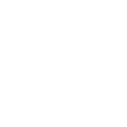 Parrot S.A. (PARRO.PA) - Market capitalization