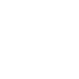 Paytm (PAYTM.NS) - Market capitalization
