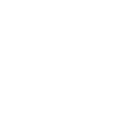Precinct Properties (PCT.NZ) - Gesamtschulden