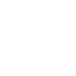 PDS Multinational (PDSL.NS) - P/E ratio