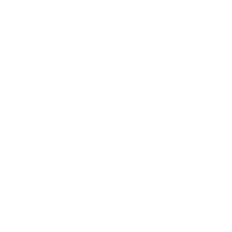 Profire Energy (PFIE) - P/E ratio